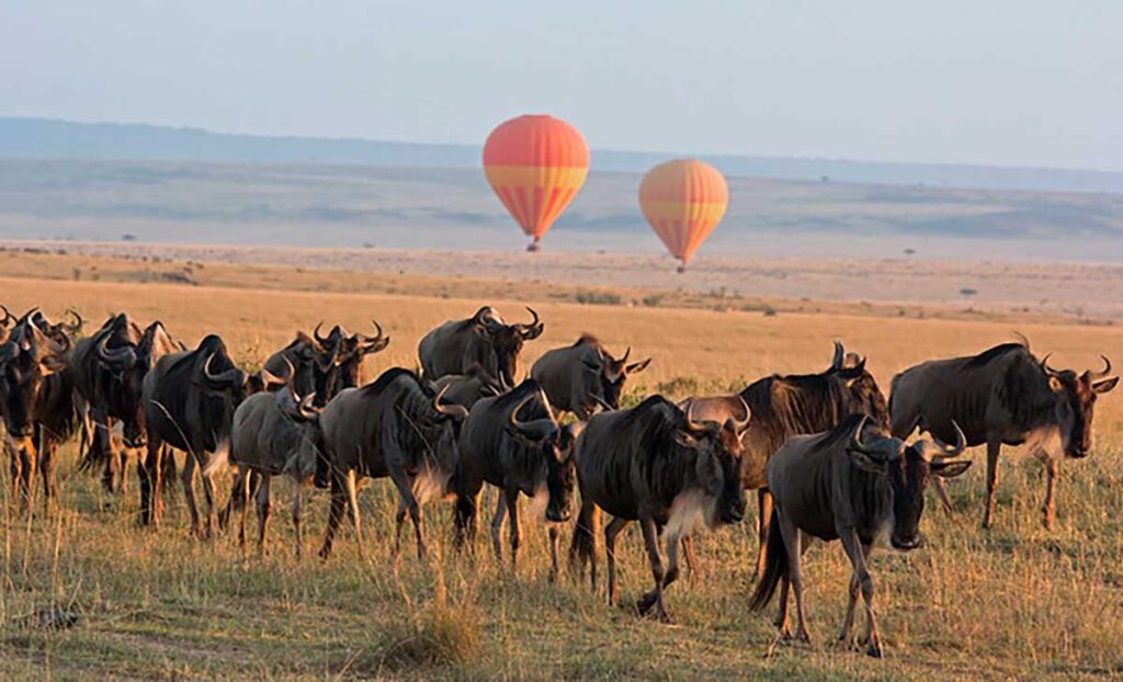 Discover Destinations In Africa | LiNGER Bespoke Travel