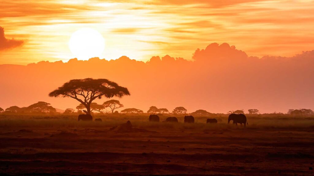 Back from Kenya: A Journey to Remember | LiNGER Travel